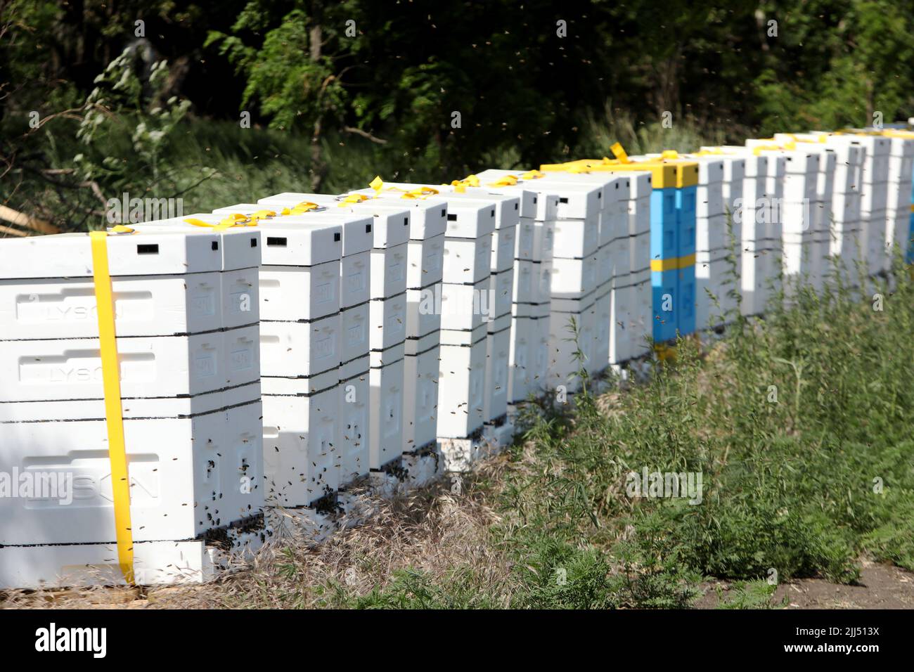 Unique apiary from polyfoam. New technology for growing bees. Honey ...