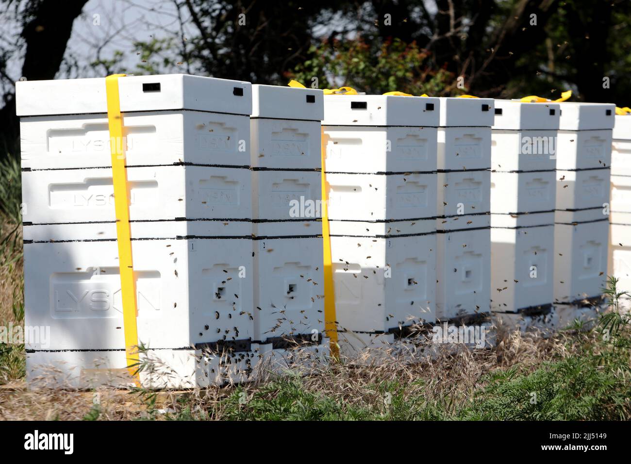 Unique apiary from polyfoam. New technology for growing bees. Honey ...