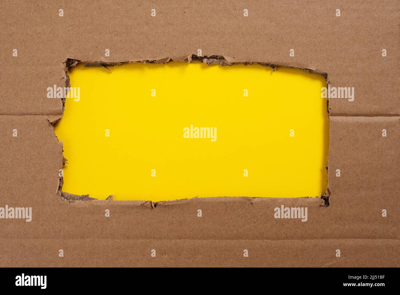 Important Informations Written Under Ripped Cardboard. Crutial ...