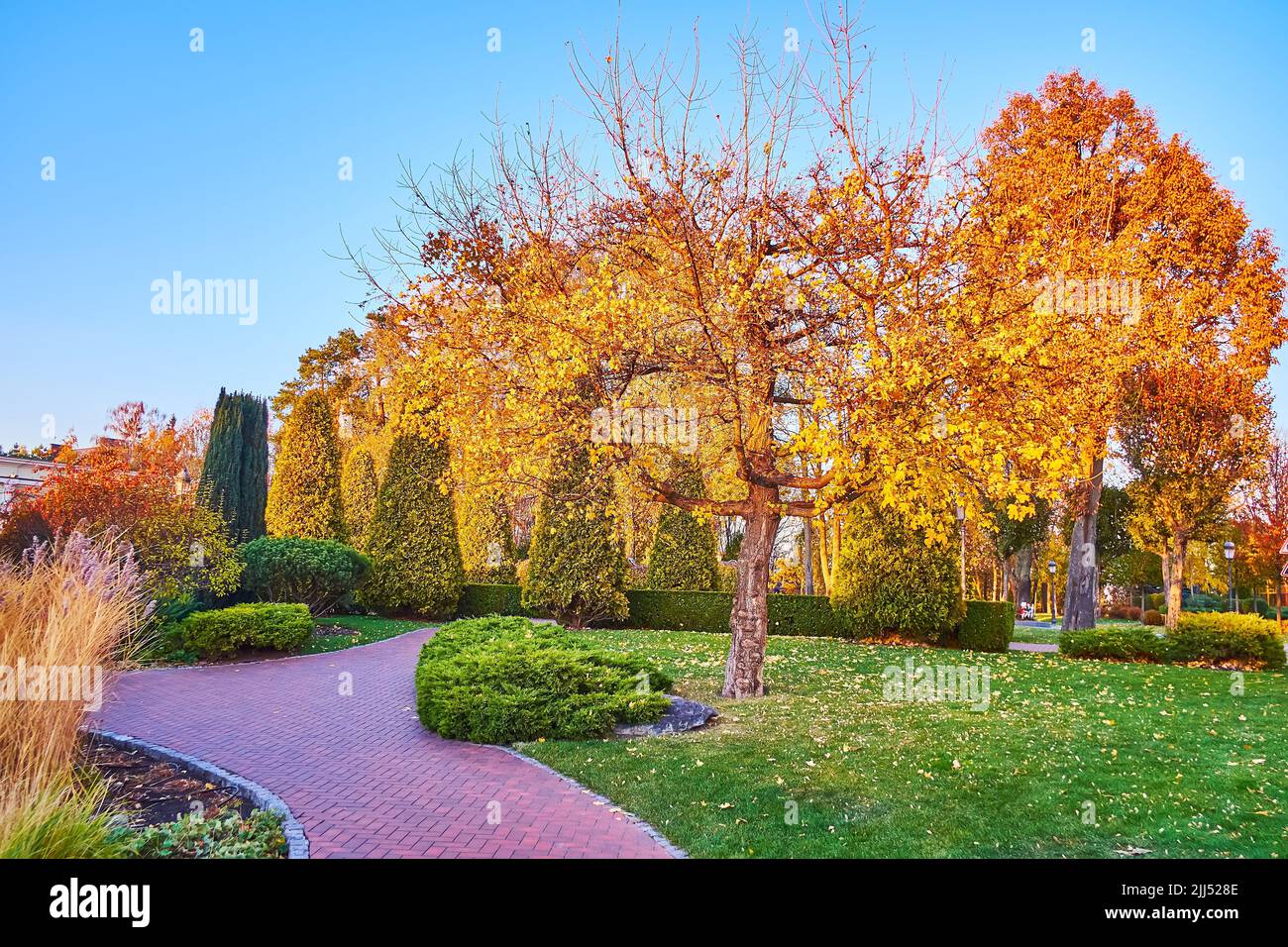 Walk down the picturesque ornamental park with green lawn, topiary ...