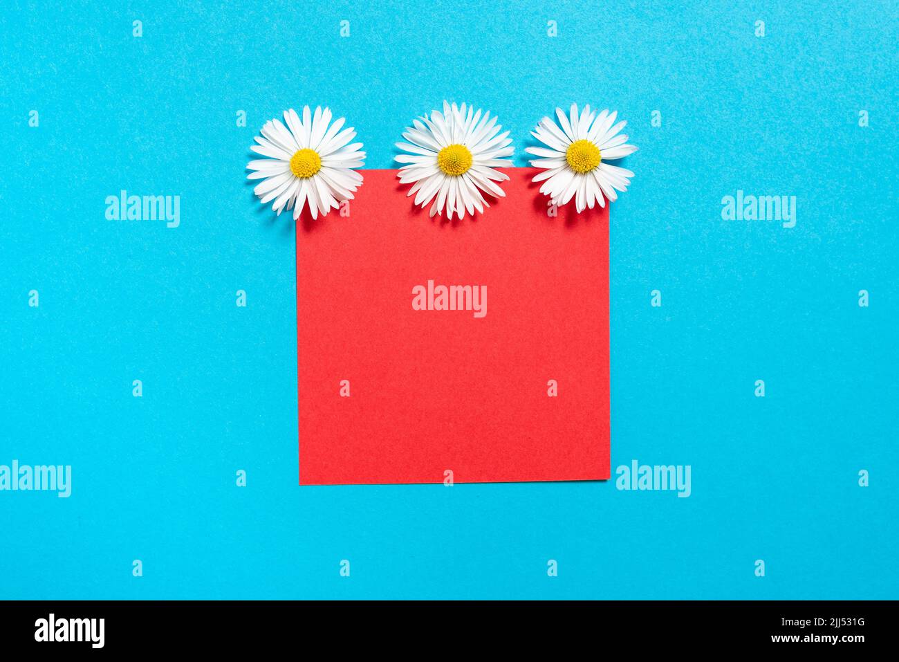 Sticky Note With Important Messages With Three Flowers Above. Memo With ...