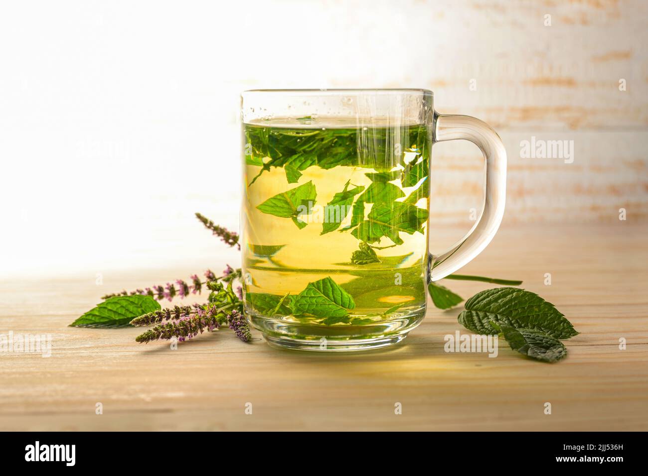 fresh peppermint leaves brewed as a healthy herbal tea in a glass cup ...