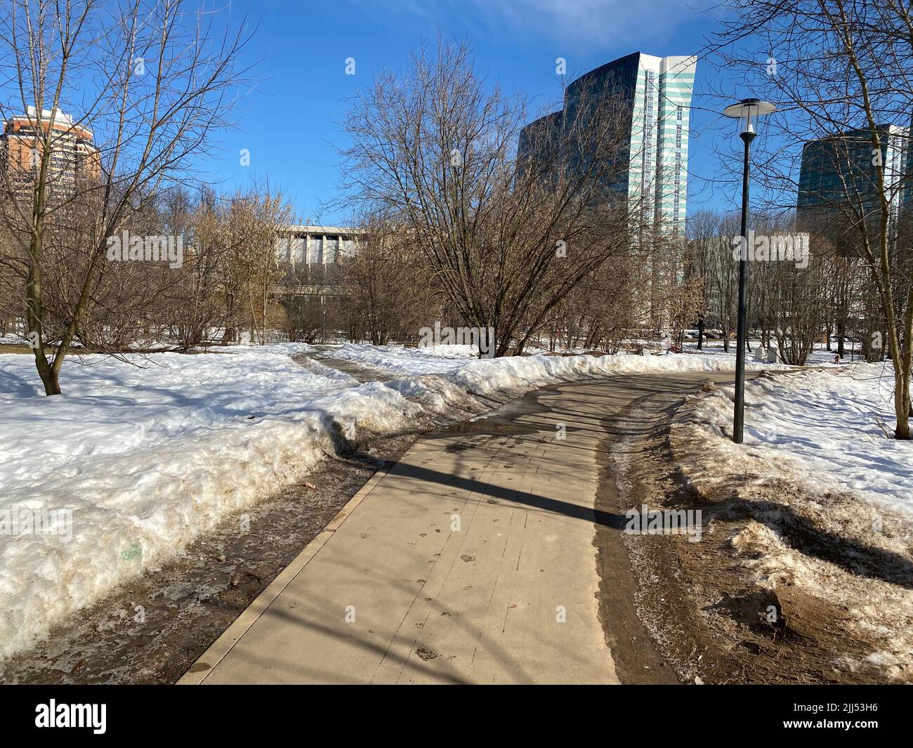 winter in city park at dry sunny day Stock Photo - Alamy