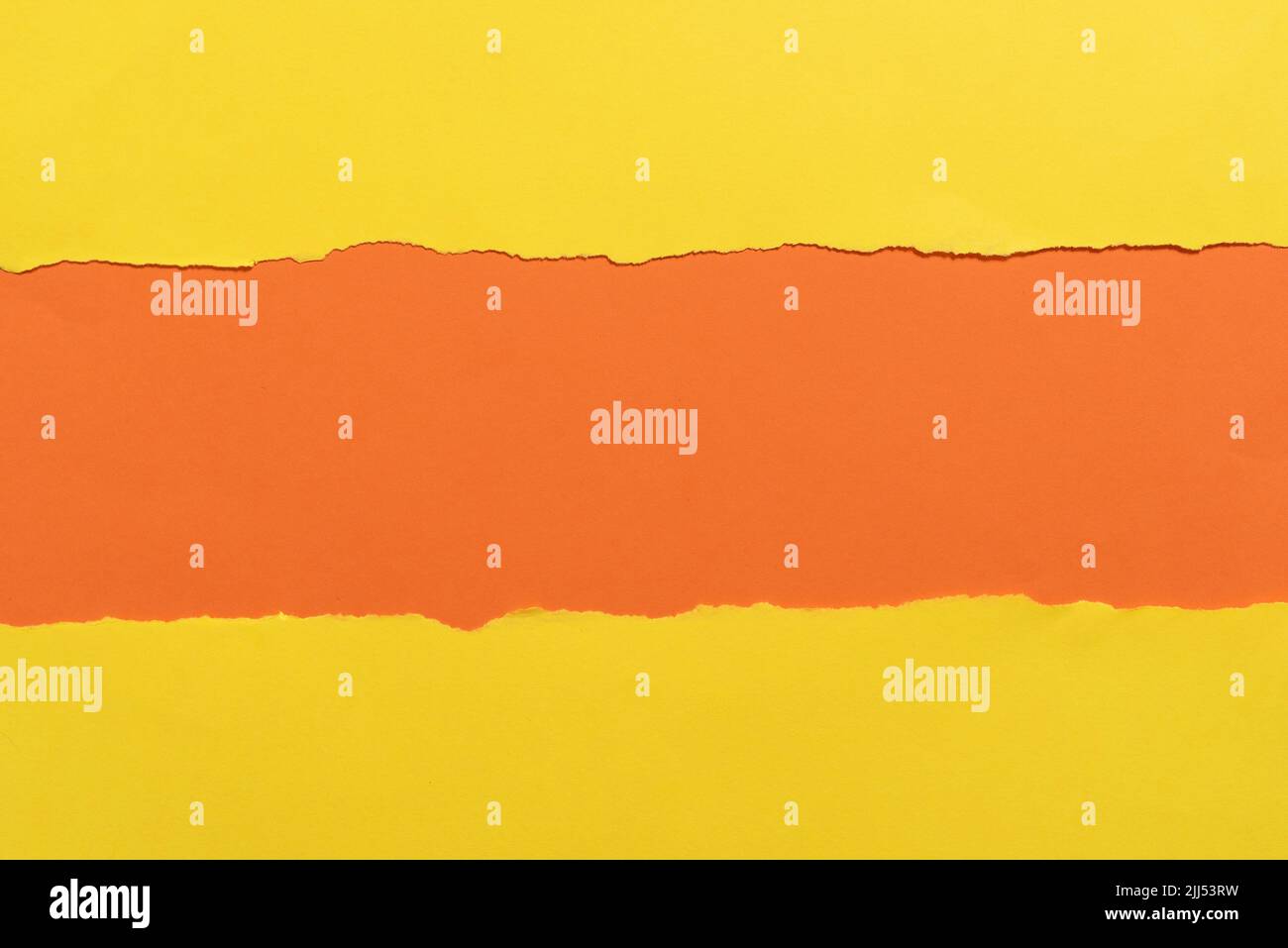 Important Informations Written Under Ripped Paper. Crutial Announcement ...