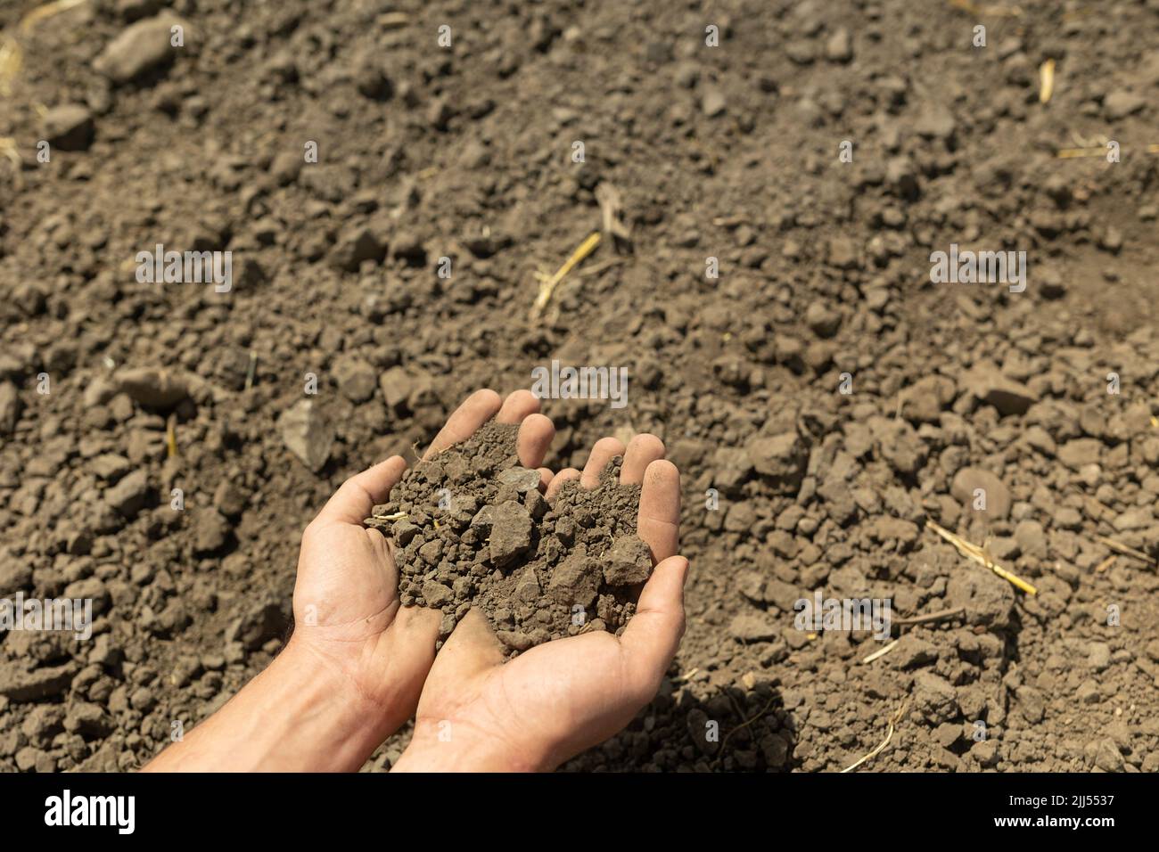 Farmer hands holding and pouring back organic soil. Gardener checking ...