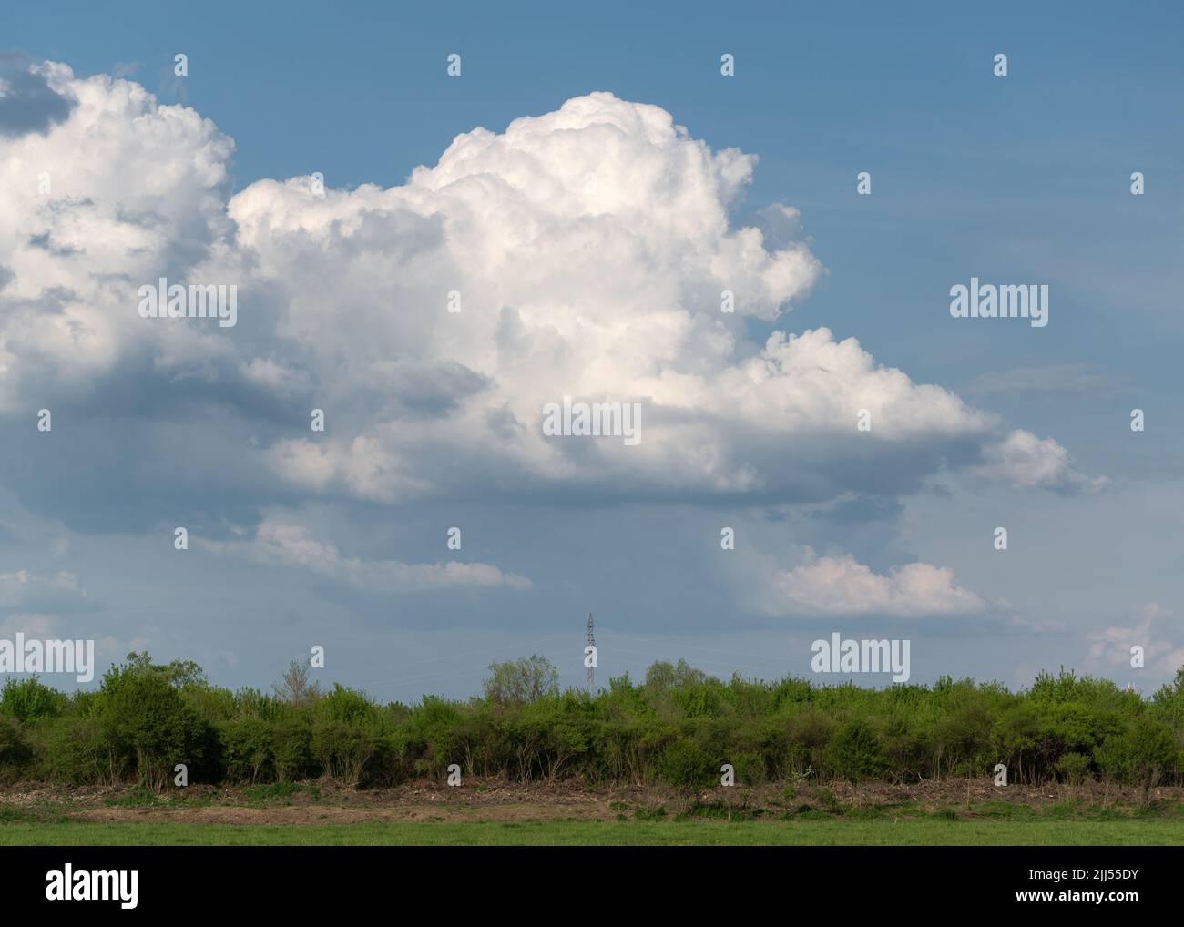 Big cumulonimbus cloud above electric pylon and forest, transmission ...