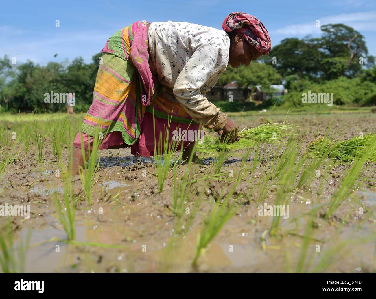 Agartala, India's northeastern state of Tripura. 23rd July, 2022. A ...