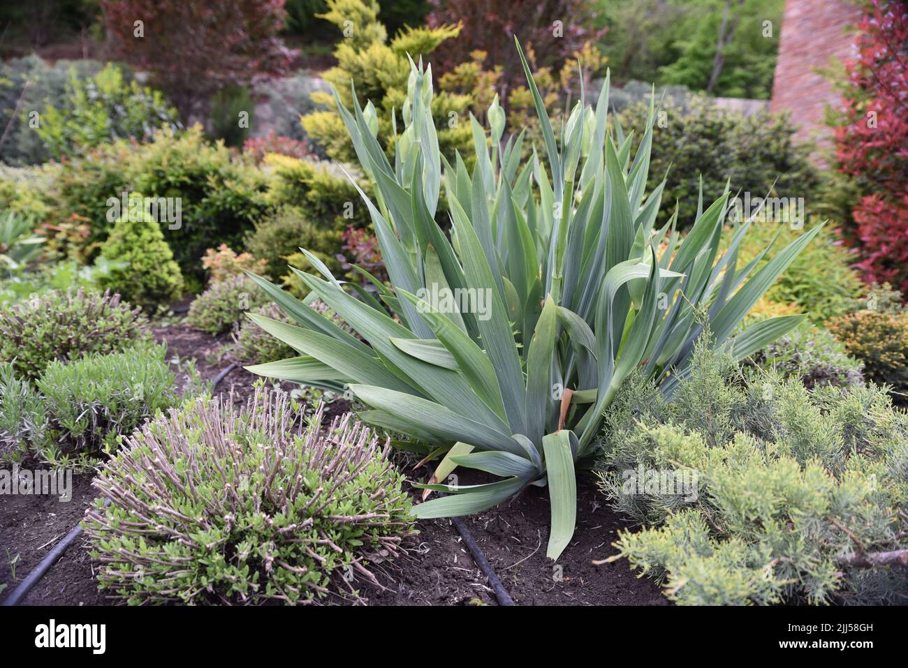 Landscape and Cityscape of Georgia Stock Photo - Alamy