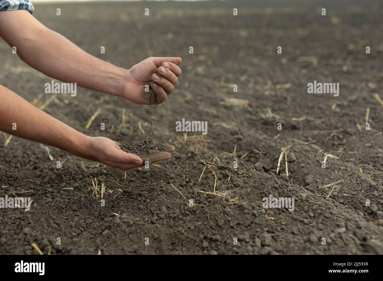 Man collect root hi-res stock photography and images - Alamy