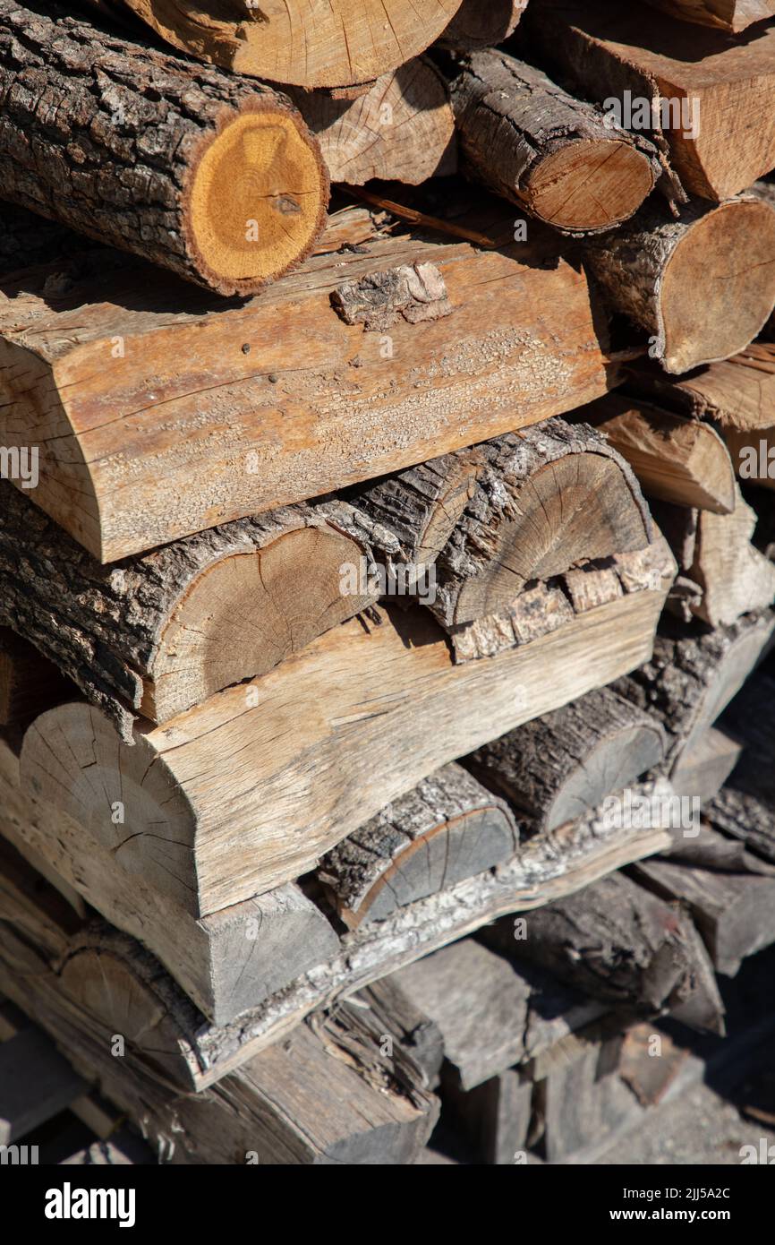 a stak of tree logs, a beautiful pink flower, SO, Valtellina, Italy ...