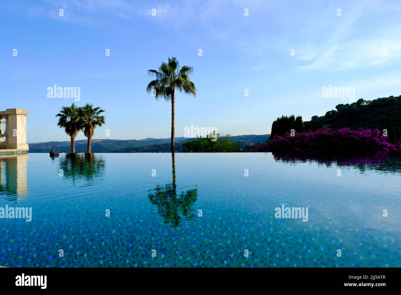 South of France Palm Tree in vista with blue sky Stock Photo - Alamy
