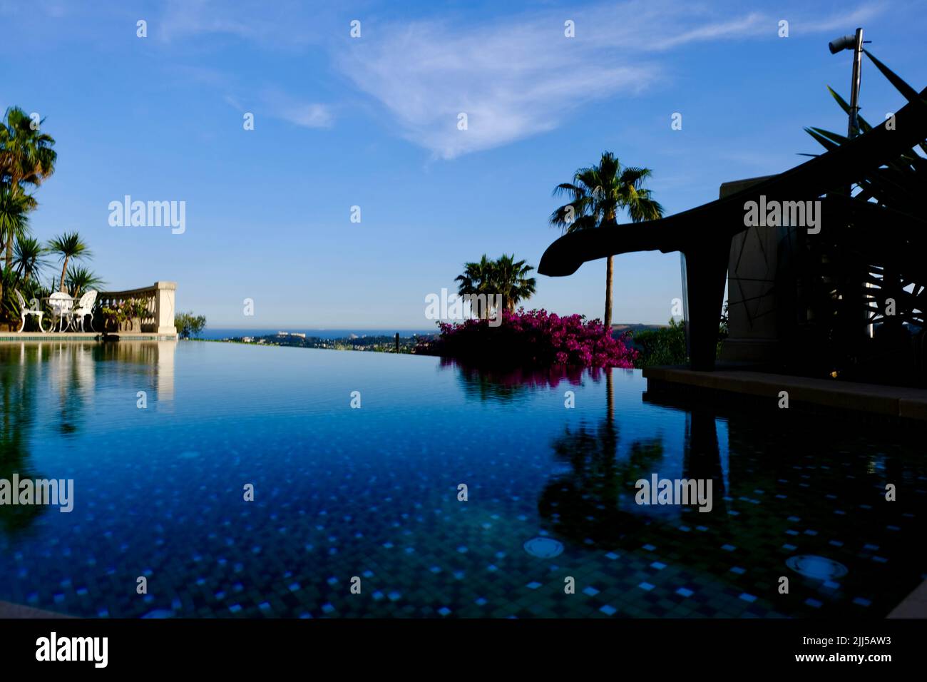 South of France Palm Tree in vista with blue sky Stock Photo - Alamy