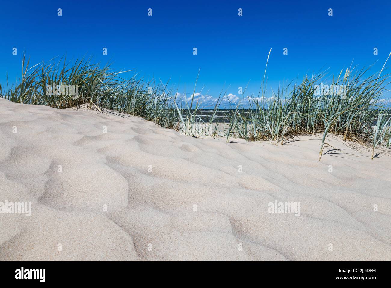 Baltic sea landscape with sandy beach and dunes with grass Stock Photo ...