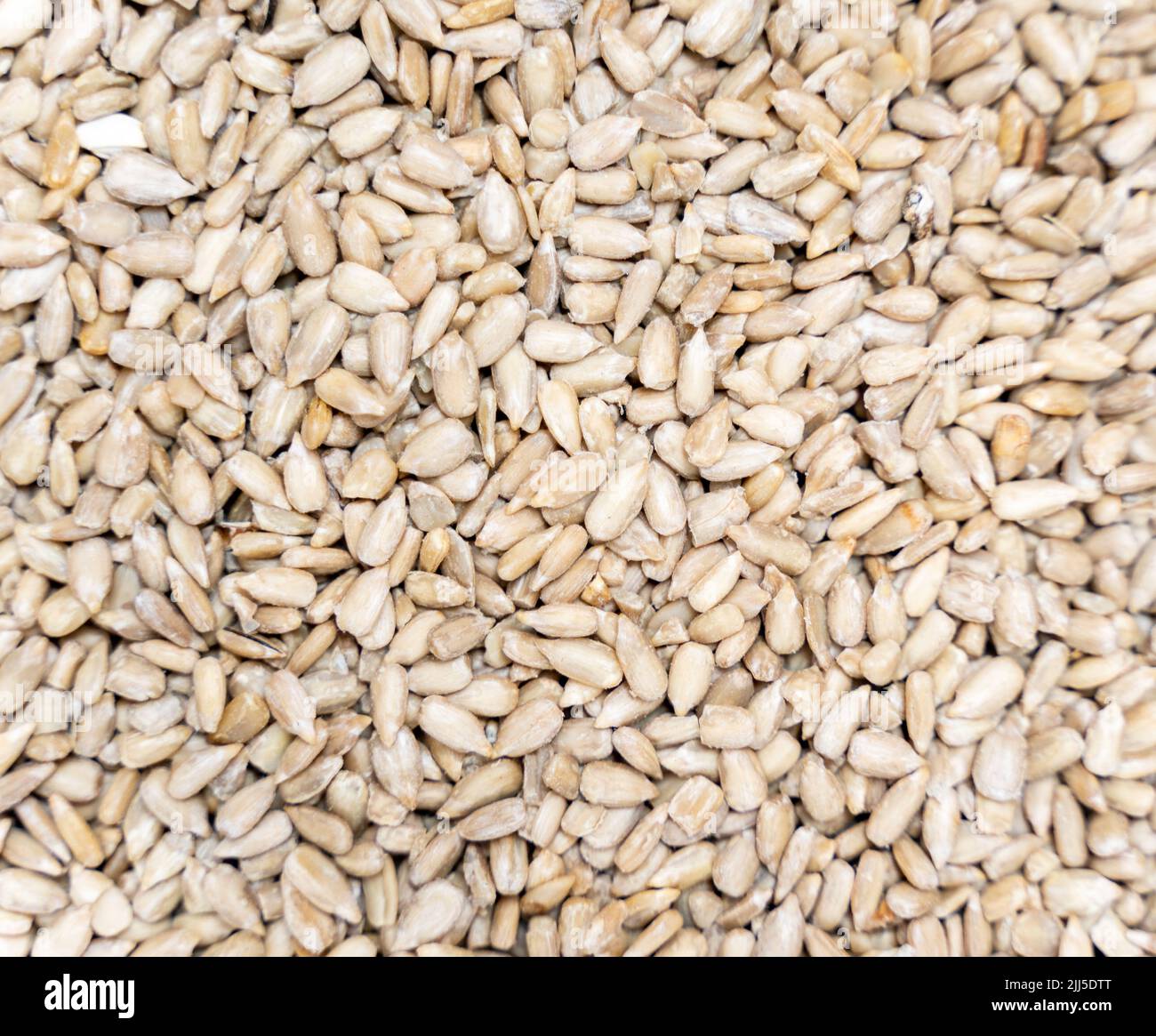 Raw sunflower seed hi-res stock photography and images - Alamy