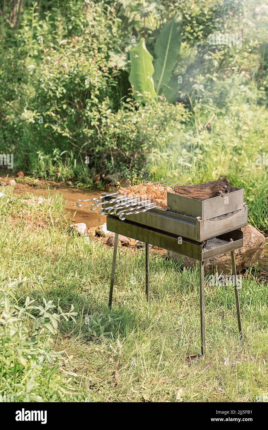 Barbecue on the grill. Marinated meat on skewers, shish kebab, beef ...