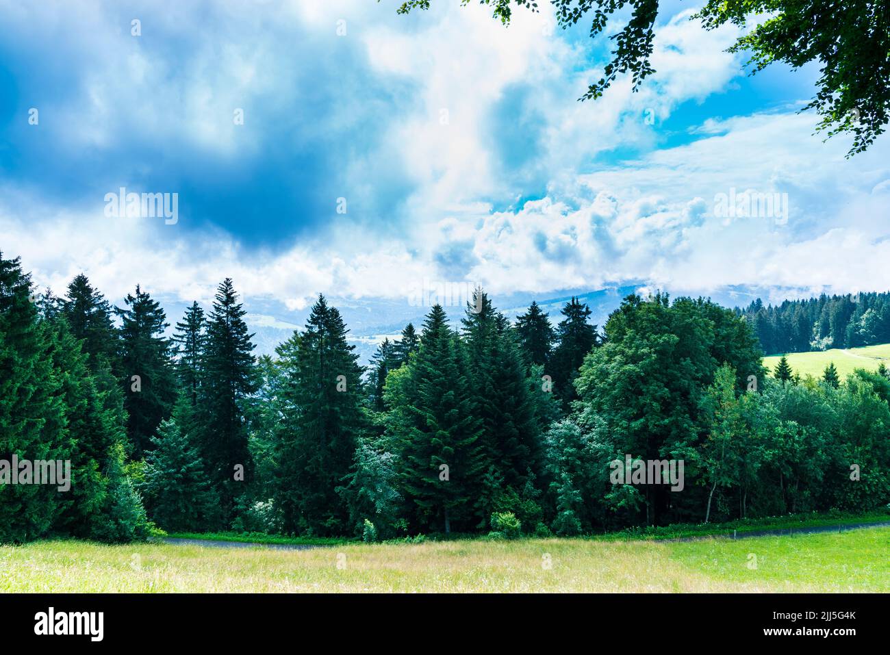 Germany, Panorama view above trees, forest and pastures on top of ...