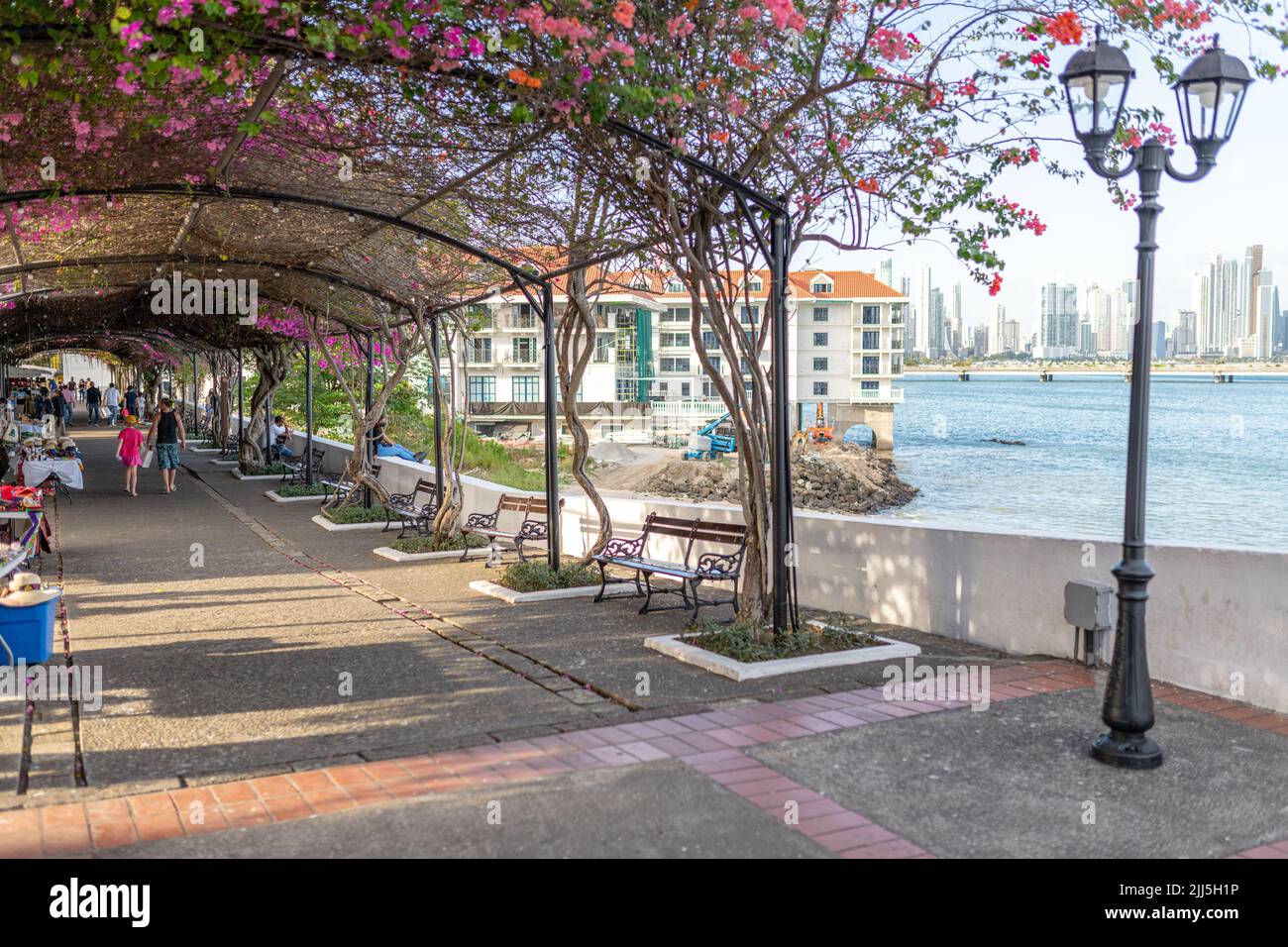 A flower covered walkway with a market in Panama City, Panama Stock ...