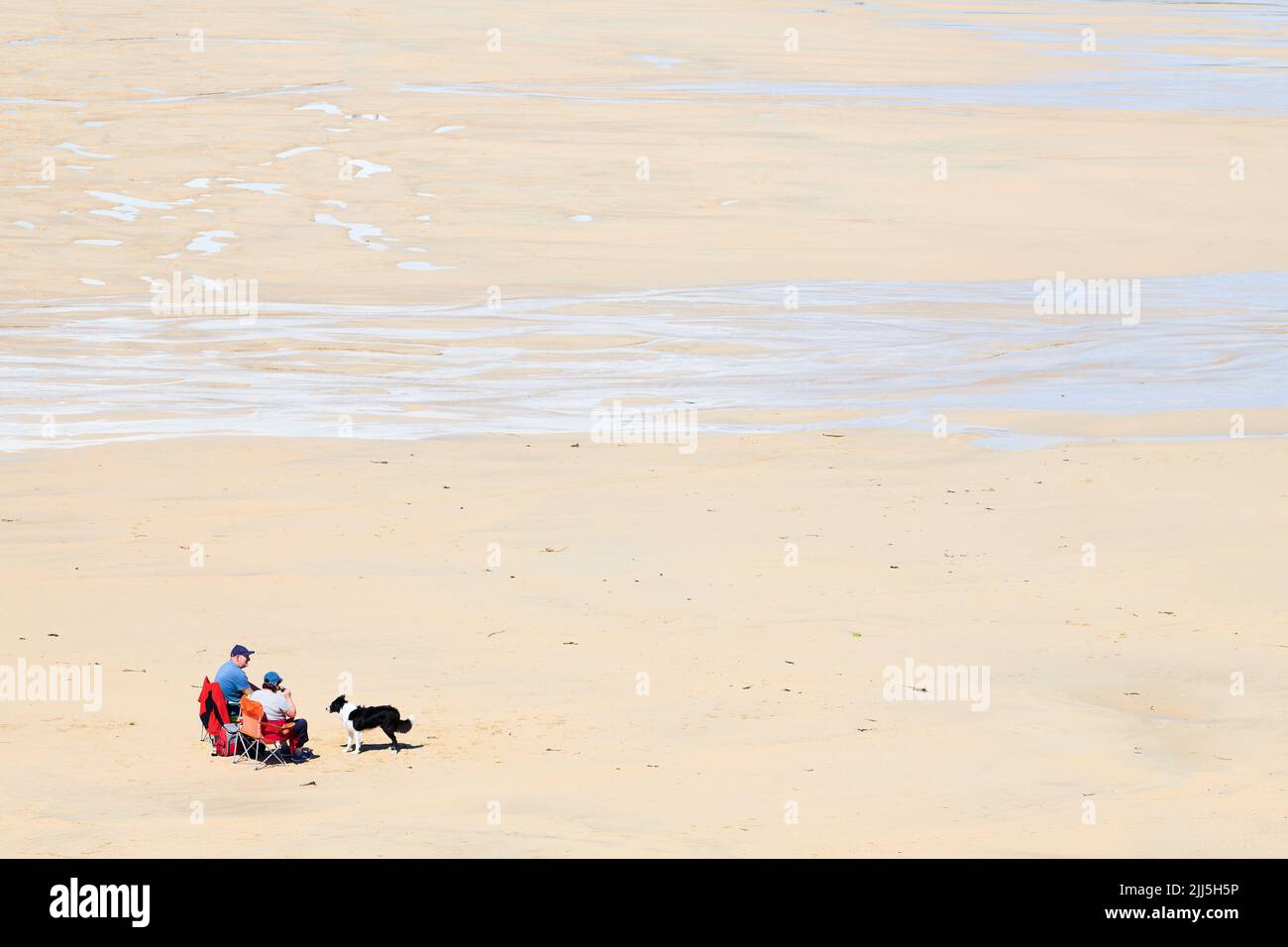 A couple sit on their chairs next to their dog on the sandy beach at ...