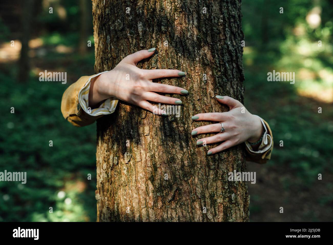 Embracing sustainability hi-res stock photography and images - Alamy