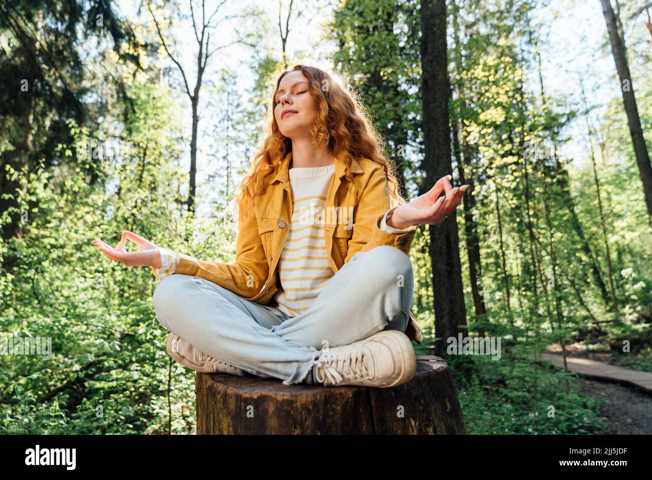 Woman meditating on tree hi-res stock photography and images - Alamy