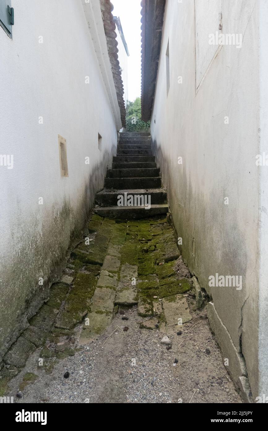 The term "Kellergasse", also known as "Kellertrift", is mainly used in ...