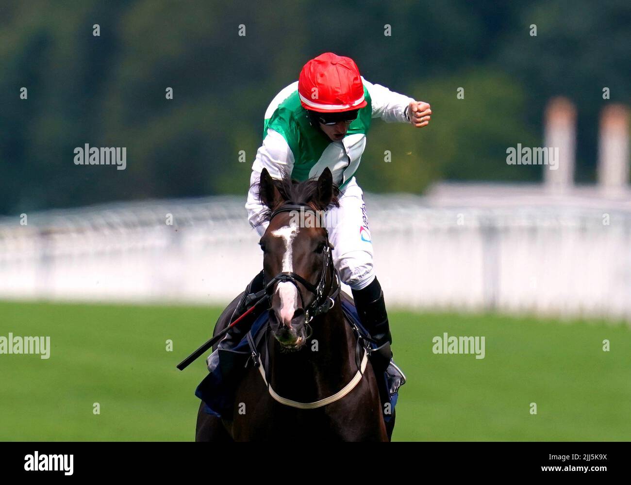 Patrick mcdonald 2022 hi-res stock photography and images - Alamy