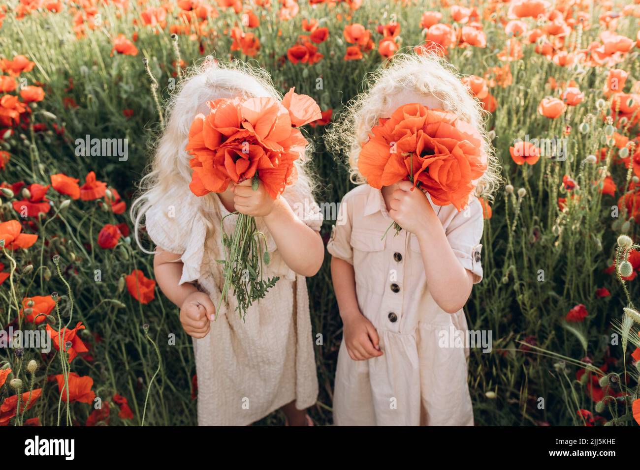 Girl with sister hiding face with flower in poppy field Stock Photo - Alamy
