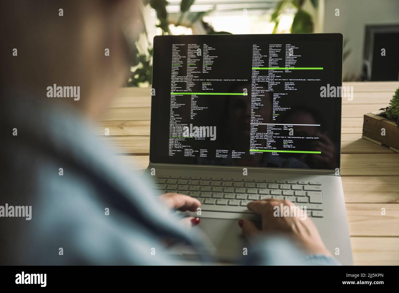 Rear view shot computer programmer hi-res stock photography and images ...