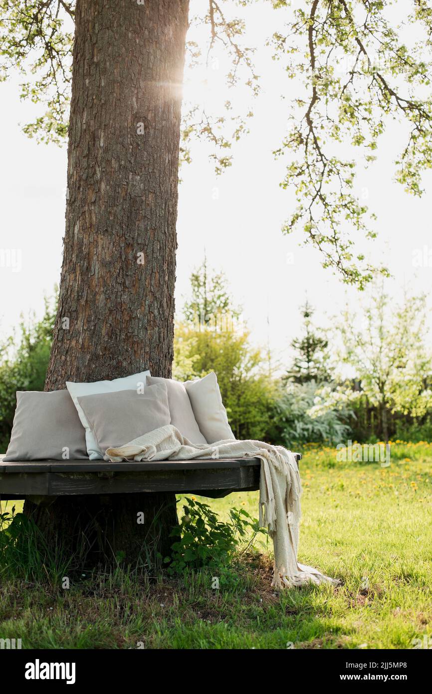 Tree growing around bench hi-res stock photography and images - Alamy