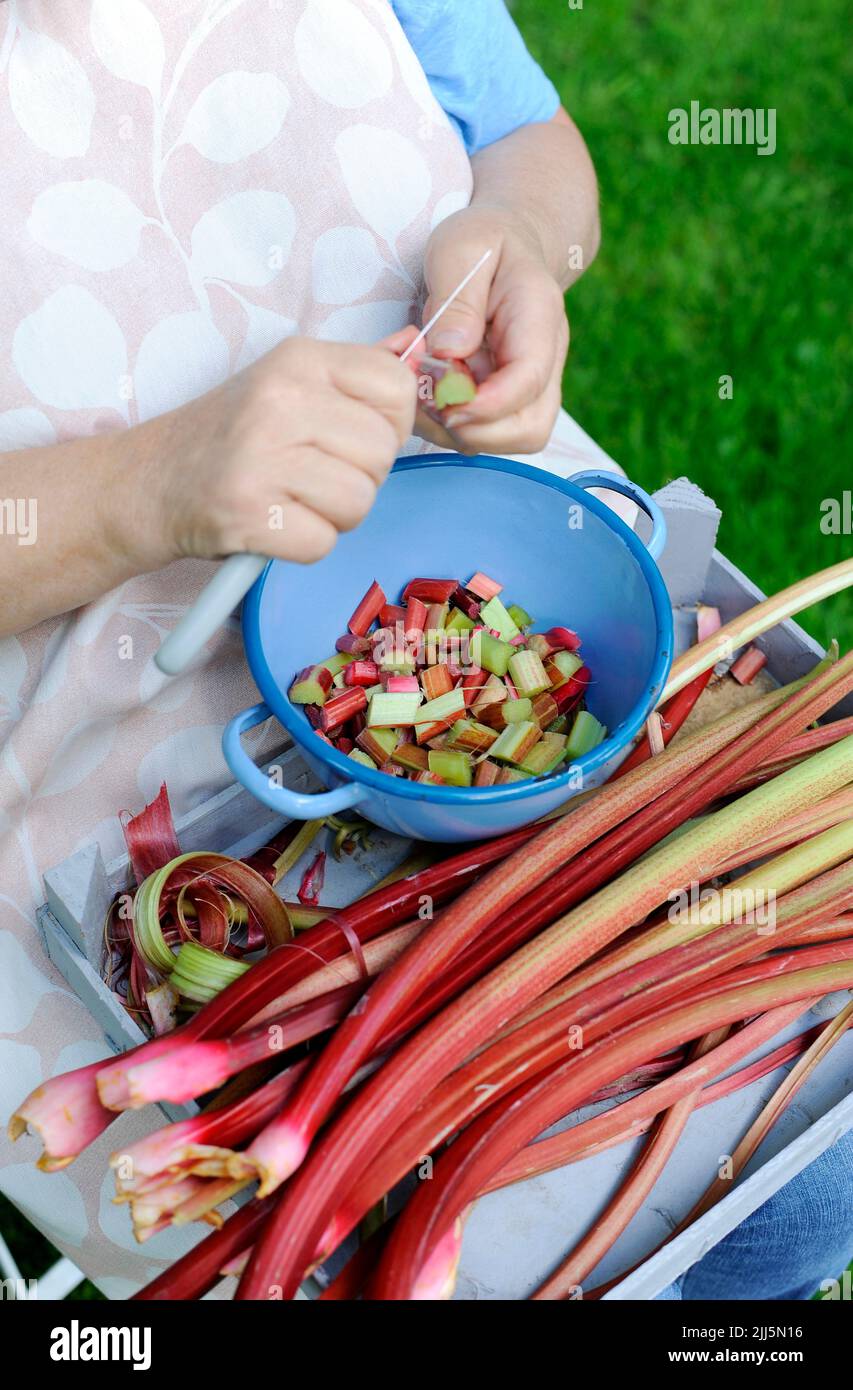 Mid section of senior woman peeling and cutting rhubarb stalks Stock ...