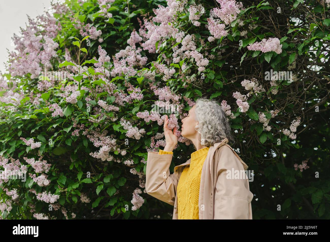 Smelling leaves on tree hi-res stock photography and images - Alamy