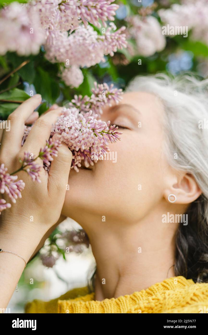 Beautiful woman smelling lilac flowers of tree at park Stock Photo - Alamy