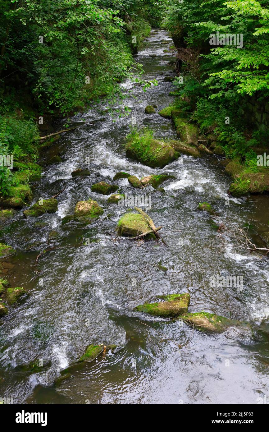 Wesenitz valley hi-res stock photography and images - Alamy