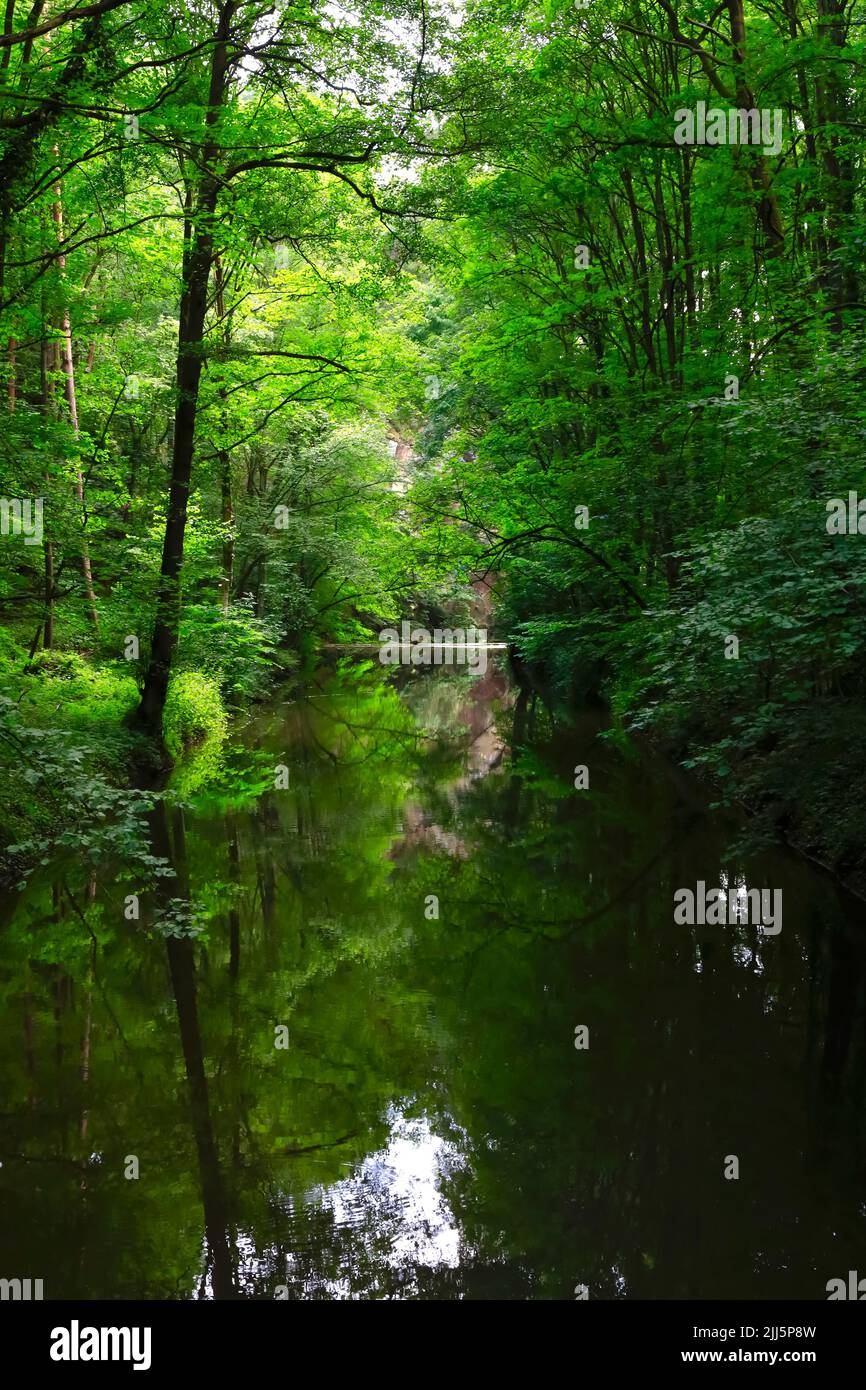 Wesenitz valley hi-res stock photography and images - Alamy
