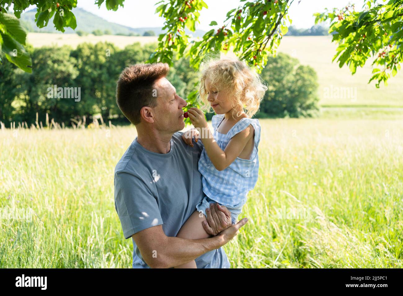 Girl feeding cherry to father at field Stock Photo - Alamy