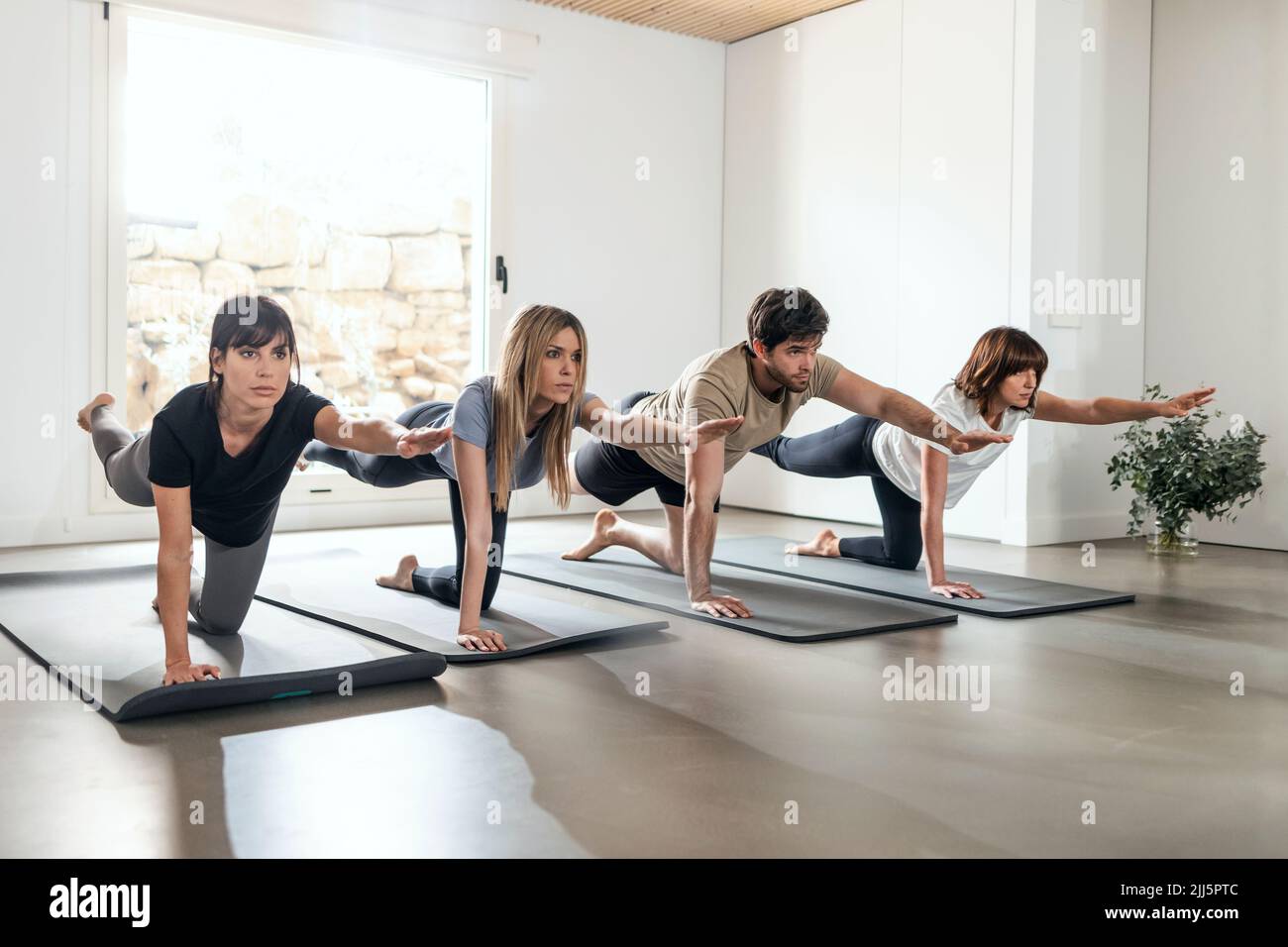 Man and women practicing balancing pose at yoga class Stock Photo - Alamy