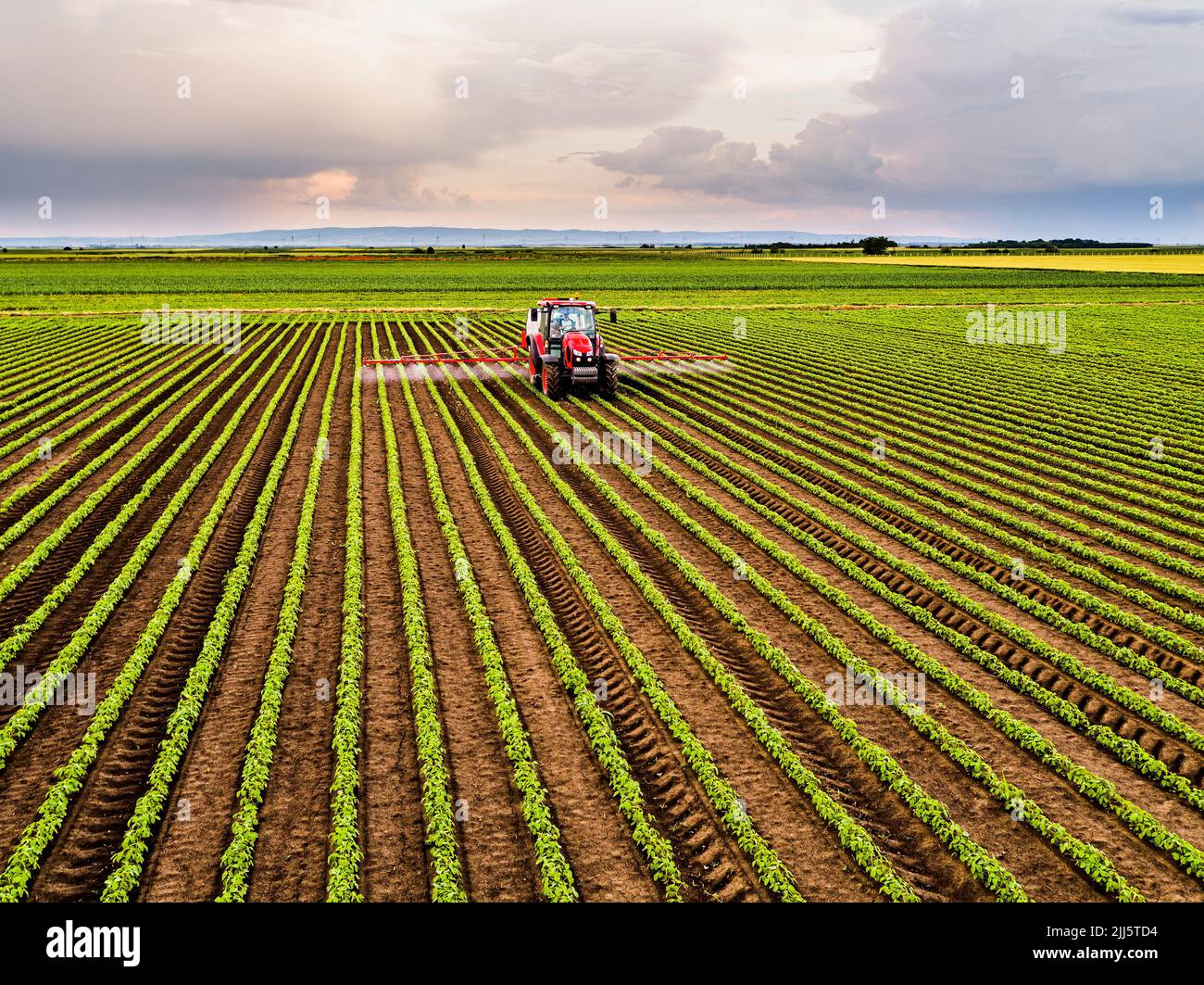 Tractor spraying insecticide on soybean field Stock Photo - Alamy