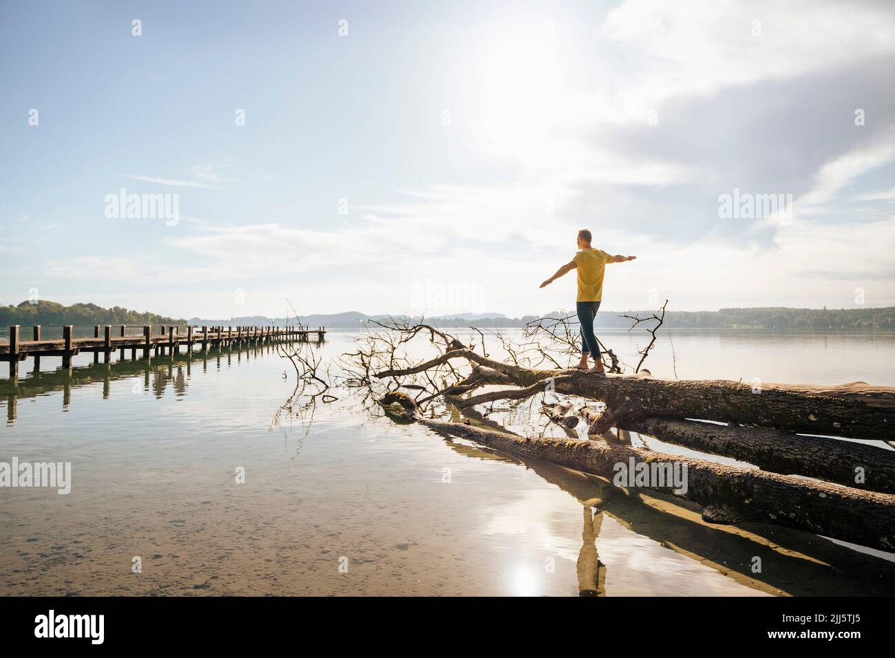 Tree log balance balanced balancing hi-res stock photography and images ...