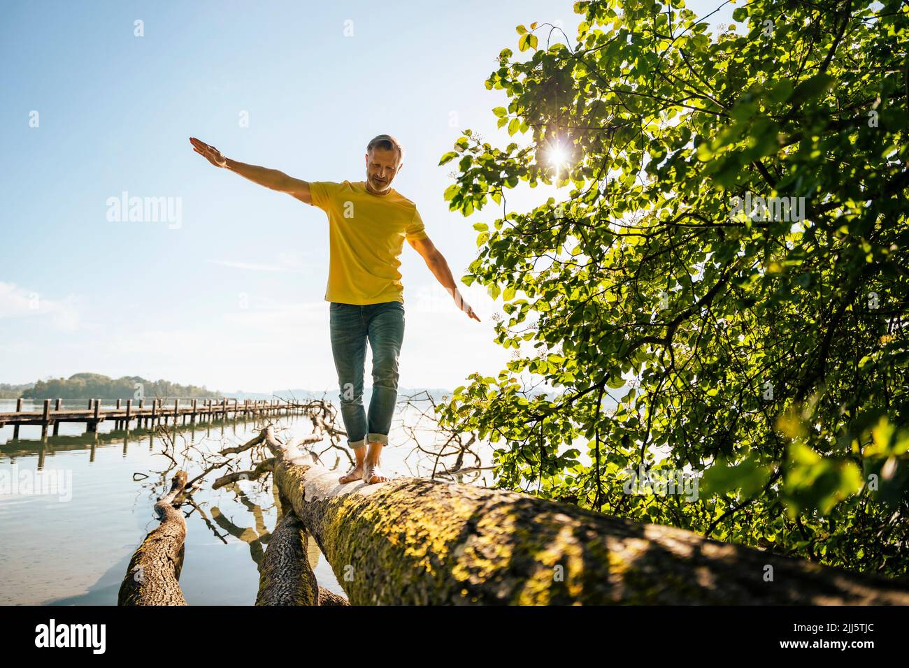 Mature man balancing on fallen tree at lakeshore Stock Photo - Alamy