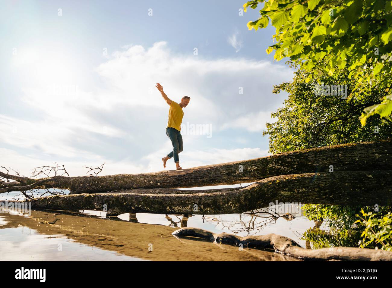 Man walking on fallen tree at lake Stock Photo - Alamy