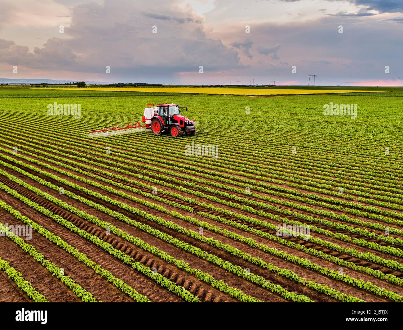 Tractor spraying insecticide on soybean crops Stock Photo - Alamy