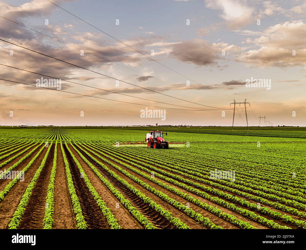 Insecticide spraying tractor on soybean crops under cloudy sky Stock ...