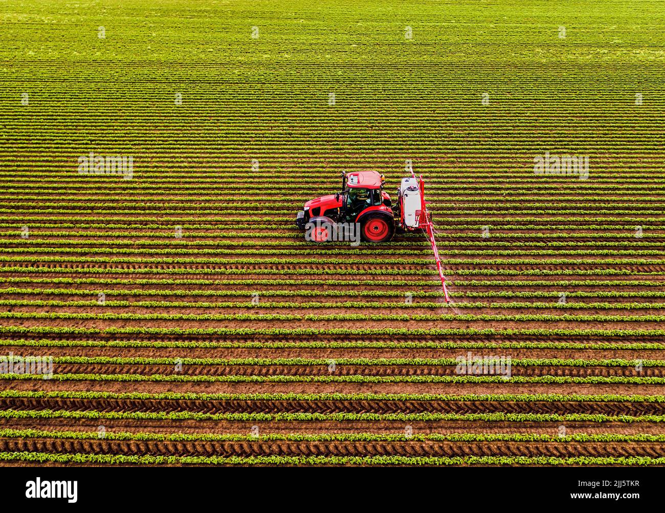 Tractor with crop sprayer on soybean field at sunset Stock Photo - Alamy