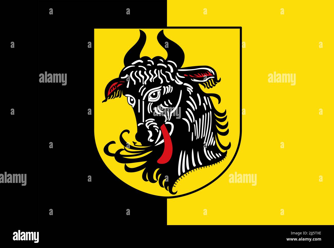 Top view of flag Vils Austria. Austrian travel and patriot concept. no ...