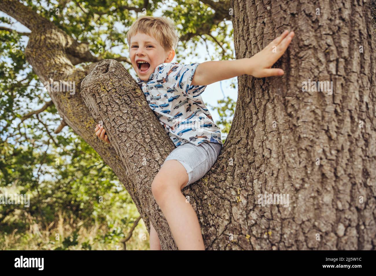 Happy cute boy sitting on tree Stock Photo - Alamy