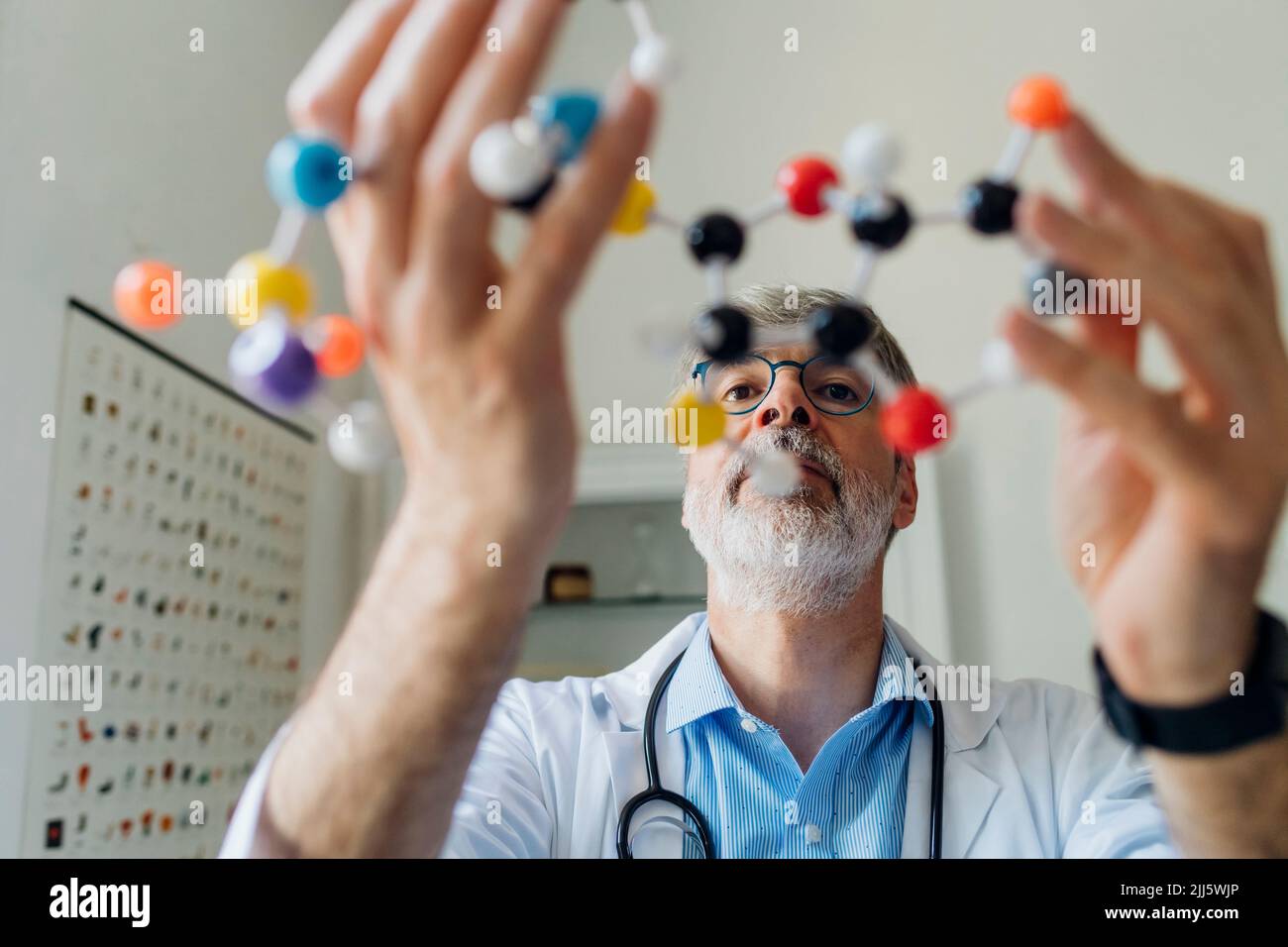 Doctor examining DNA molecule model in laboratory Stock Photo - Alamy
