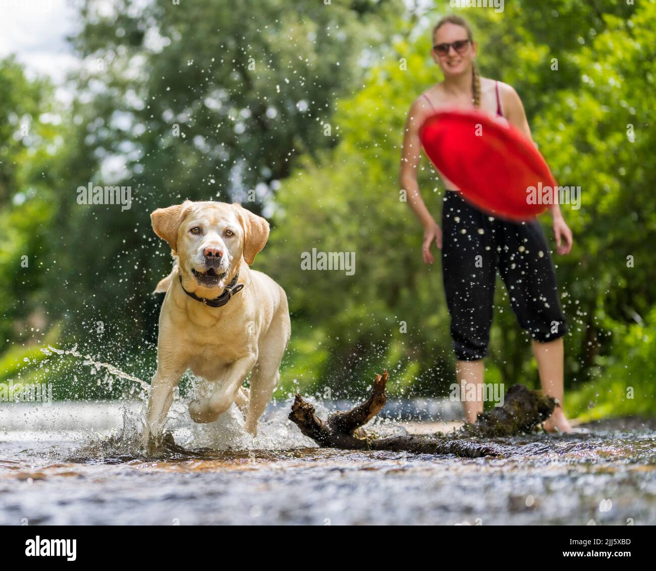 People playing flying disc hi-res stock photography and images - Alamy