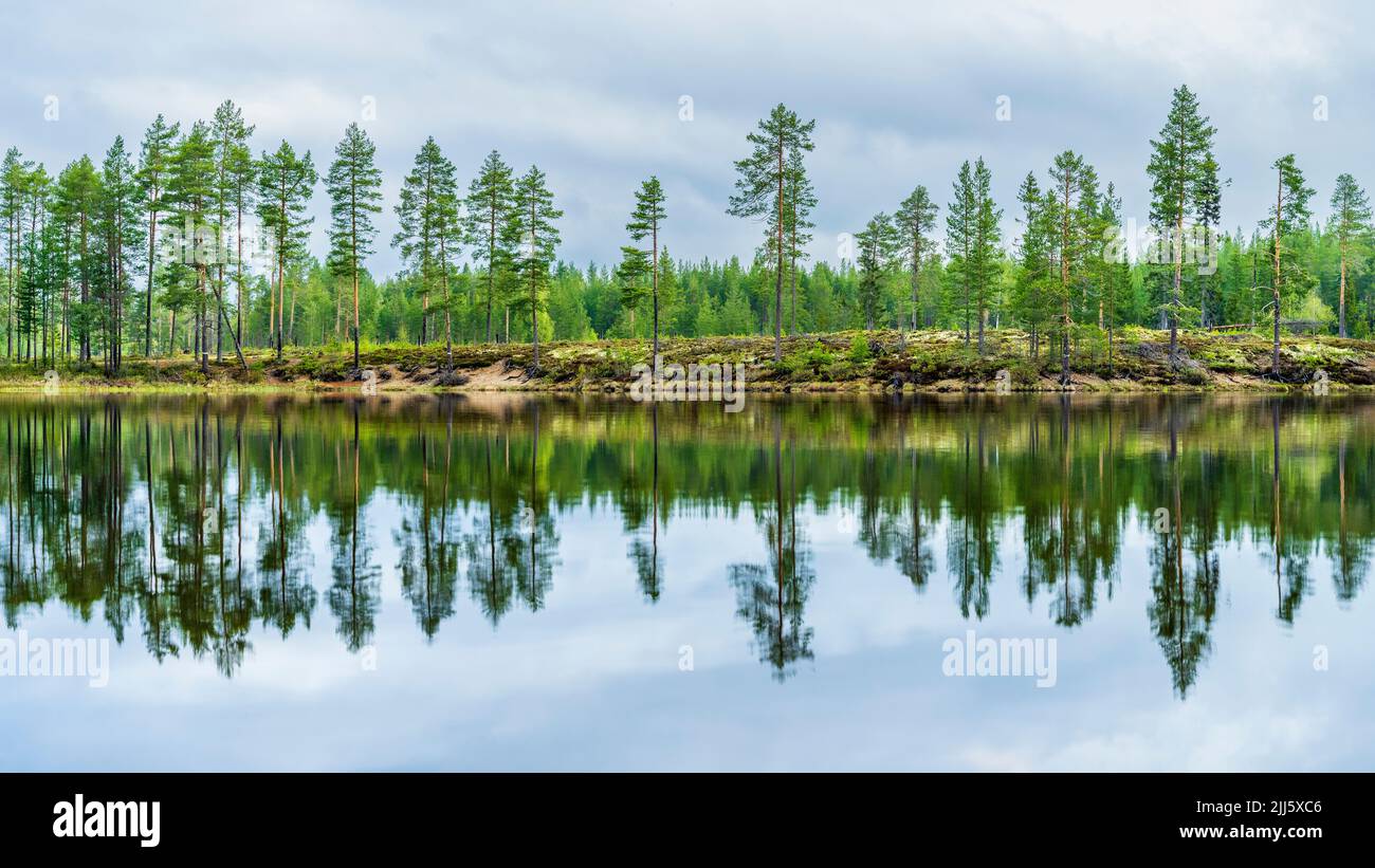Sweden, Dalarna, Trees reflecting on surface of clear lake Stock Photo ...