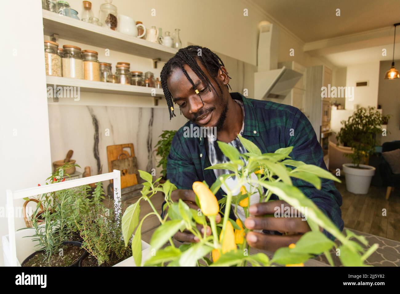 Man eating chili pepper hi-res stock photography and images - Alamy