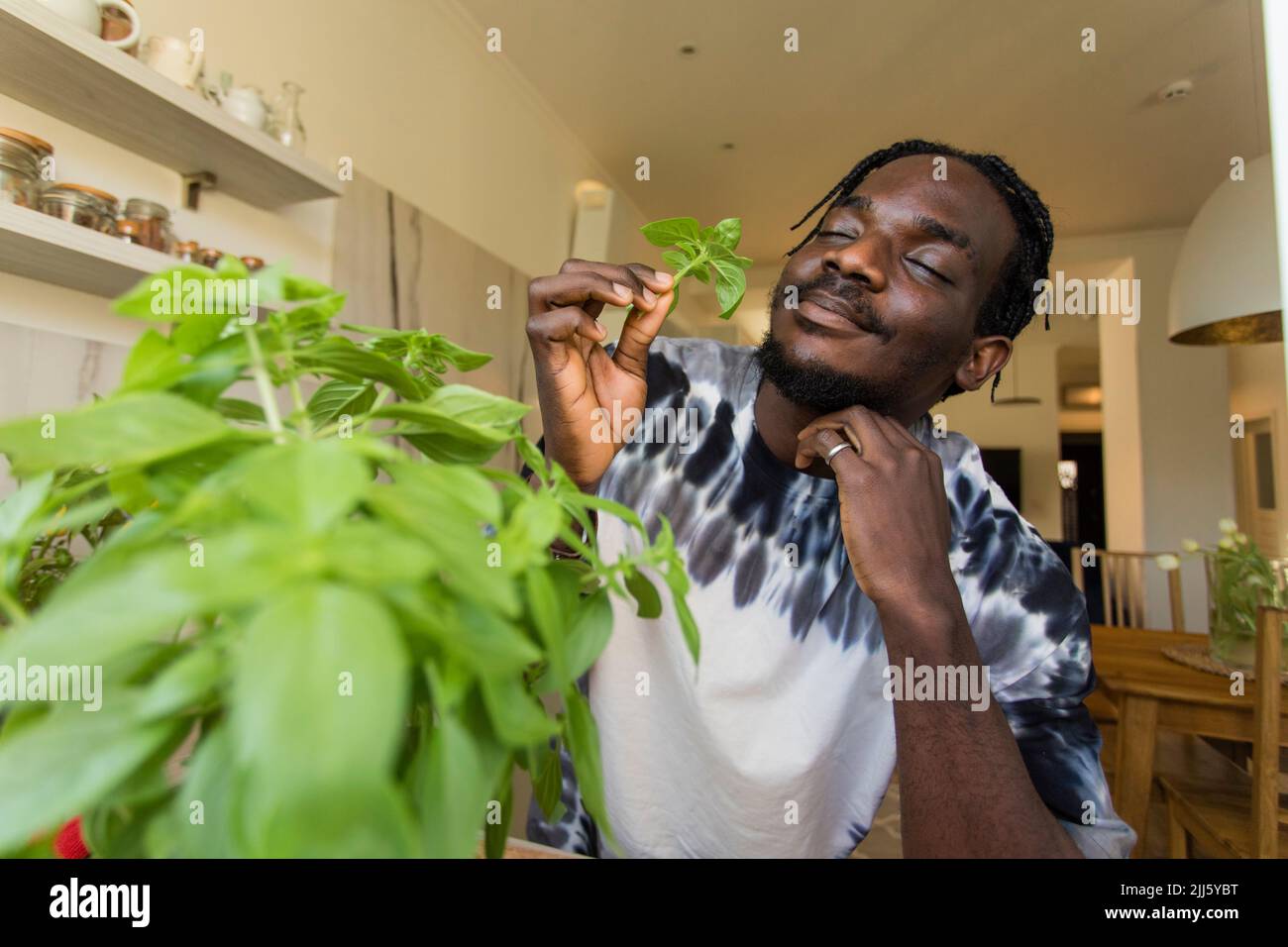 Smiling man with eyes closed smelling basil leaves in kitchen Stock Photo - Alamy